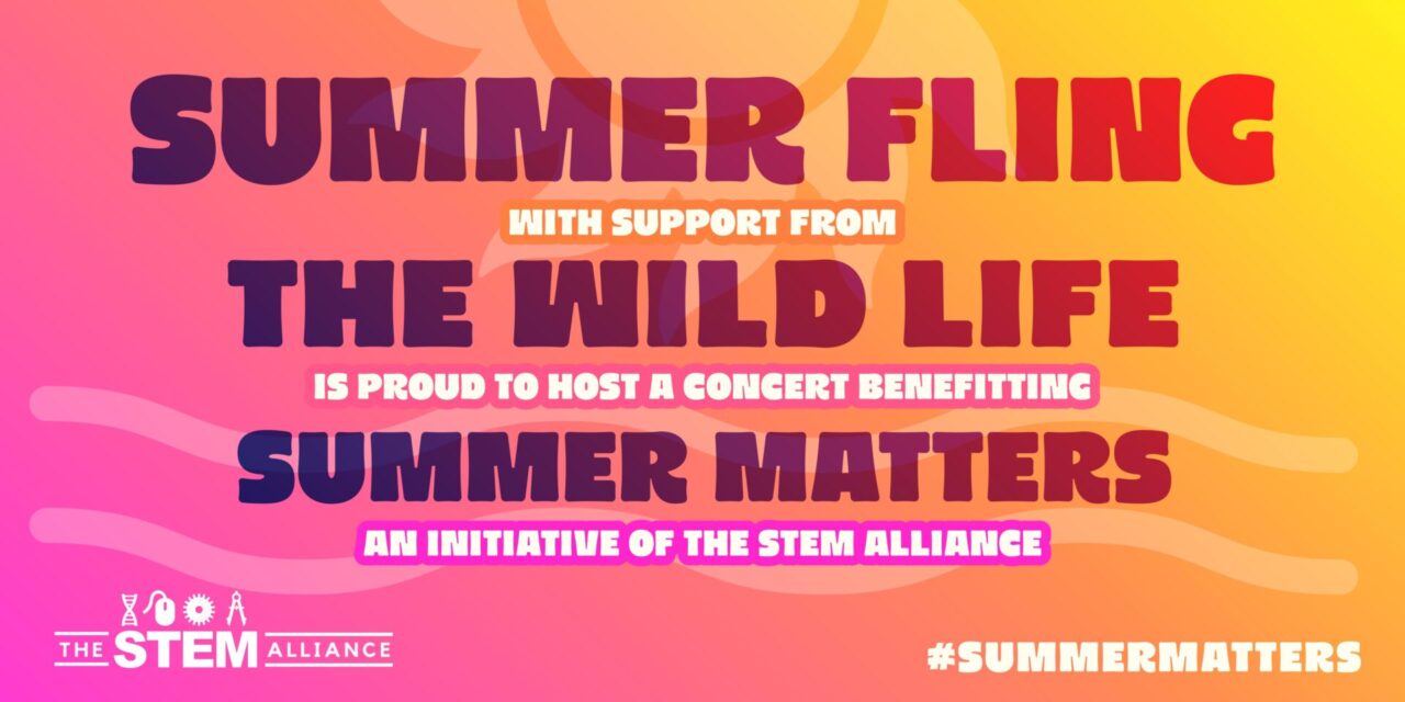 Summer Fling for Summer Matters | Emelin Theatre